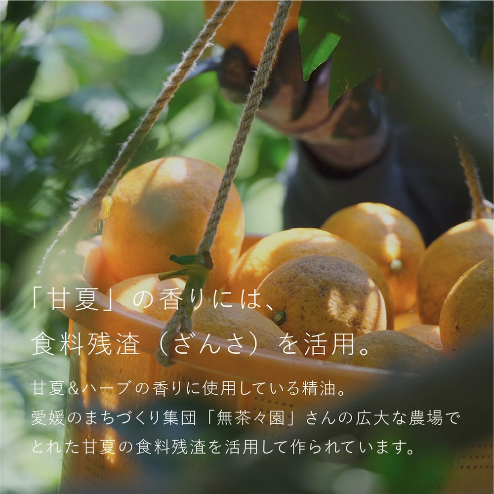 hinna（ヒンナ） | hinna（ヒンナ）公式オンラインショップ